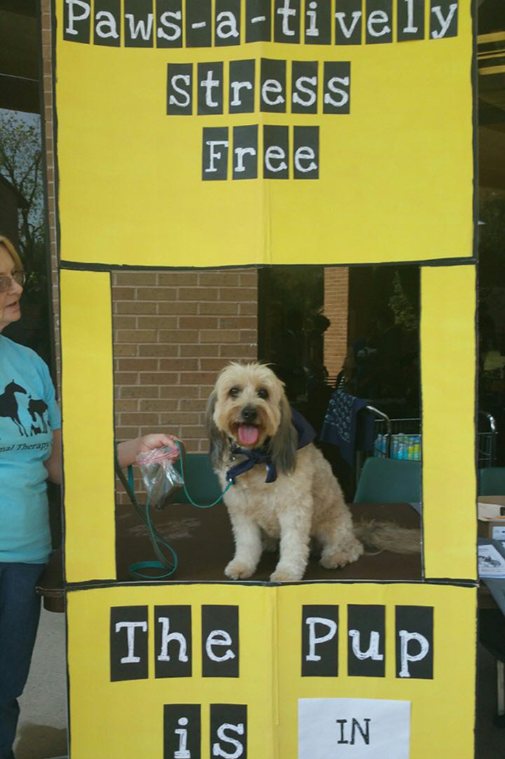 Puppies and awareness - The Rider Newspaper