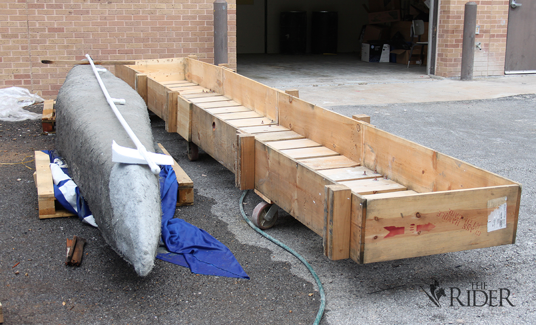 Hard as concrete, light as a canoe - The Rider Newspaper