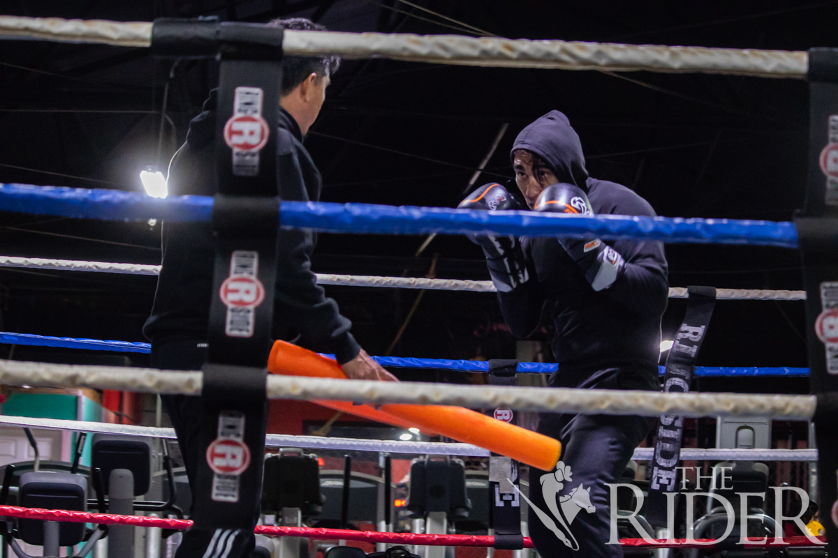 Graduate student turned pro boxer - The Rider Newspaper