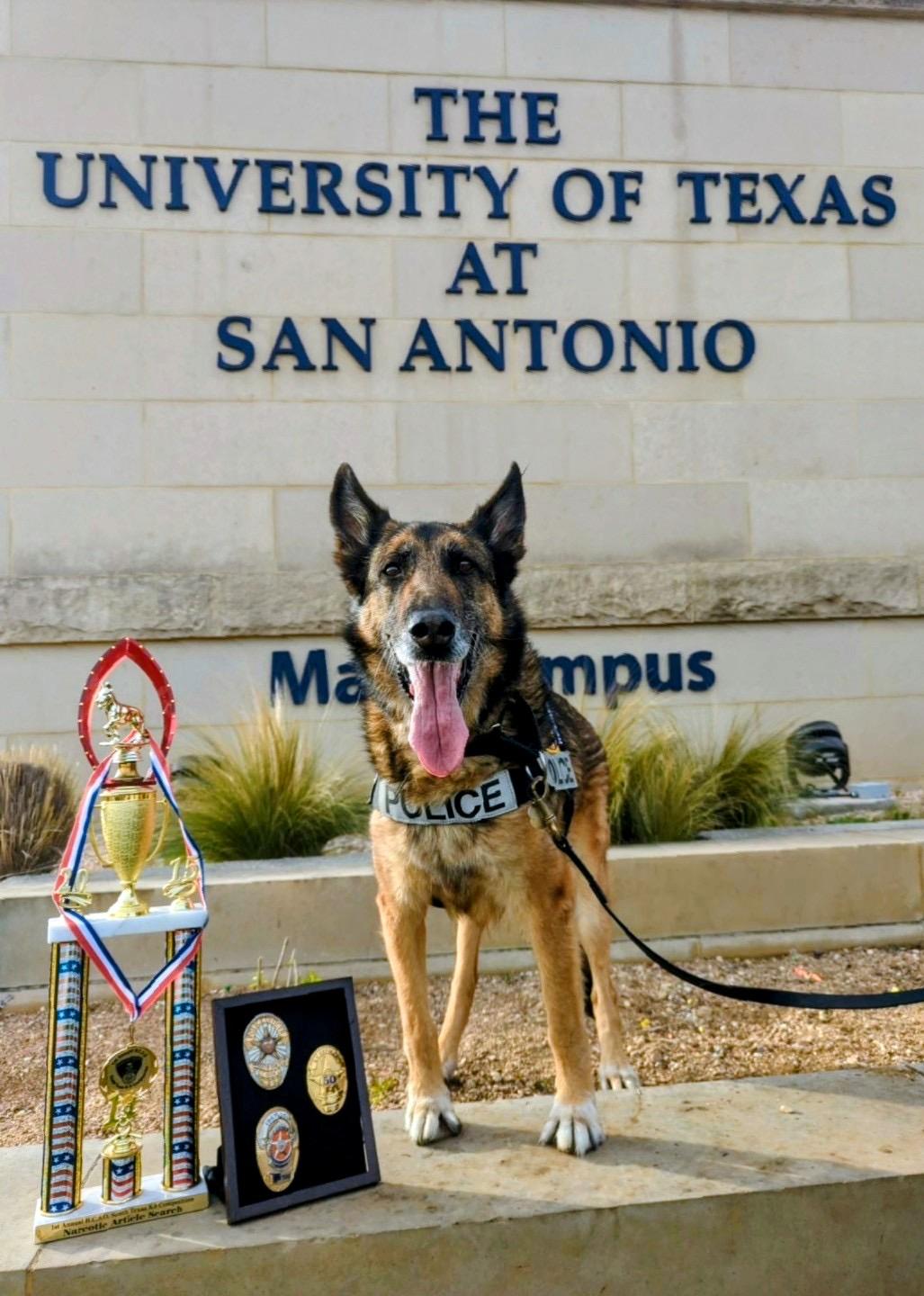 Every dog has his day - The Rider Newspaper