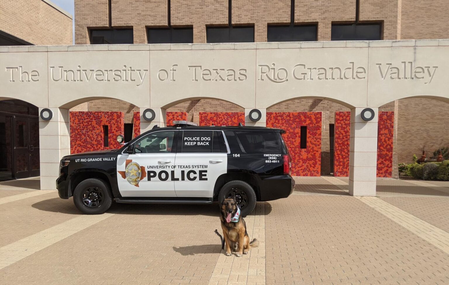 Every dog has his day - The Rider Newspaper