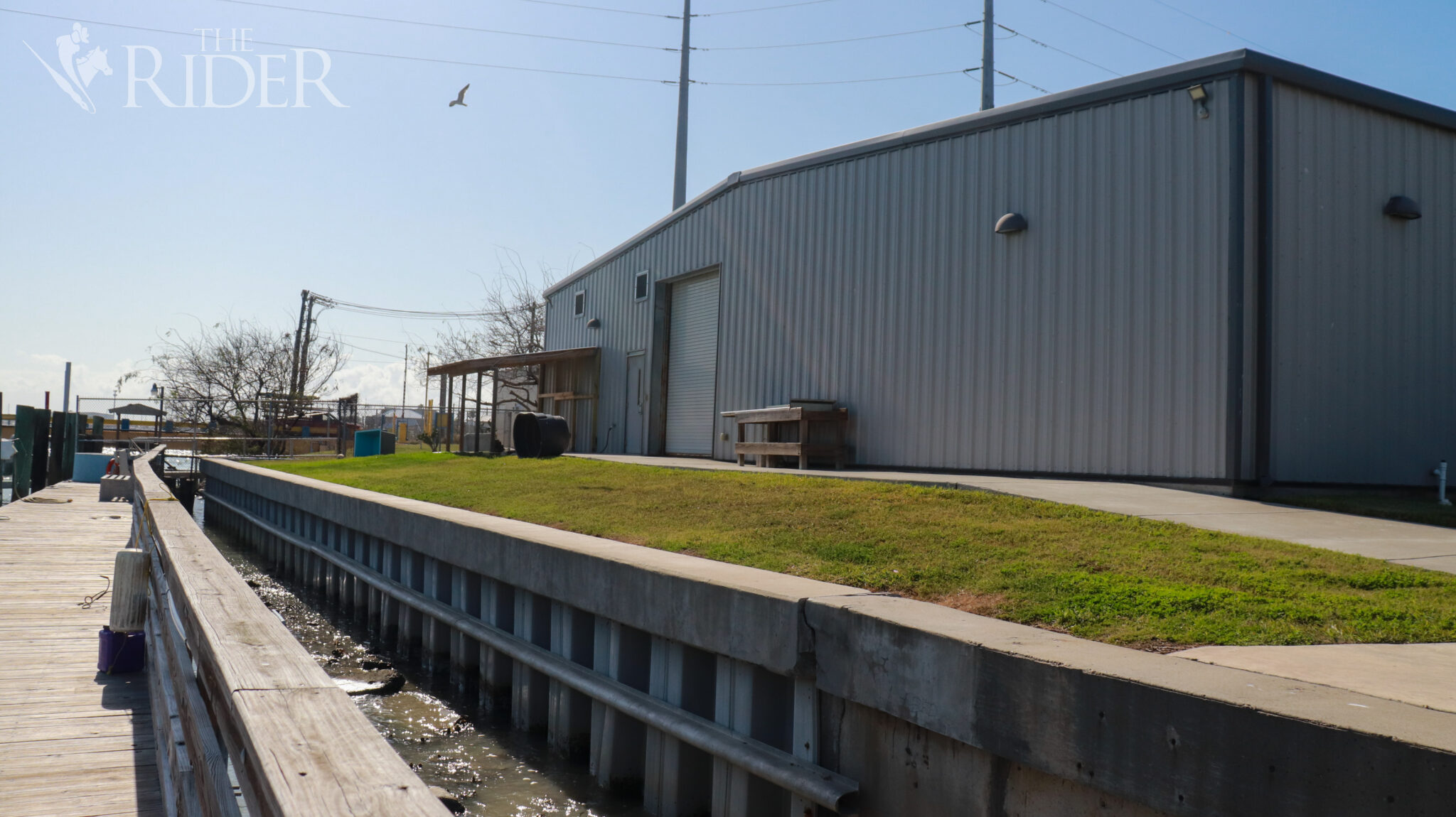 New marine research facility approved – The Rider Newspaper